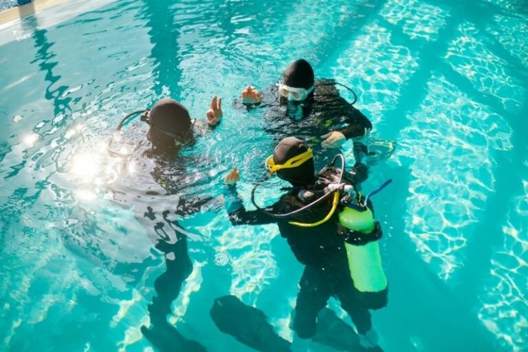 What Is an Aqualung & How Does It Work? - Merina Shik