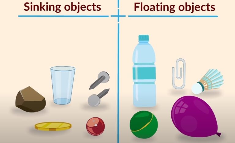 Why Does an Object Float or Sink When Placed on the Surface of Water? - Merina Shik